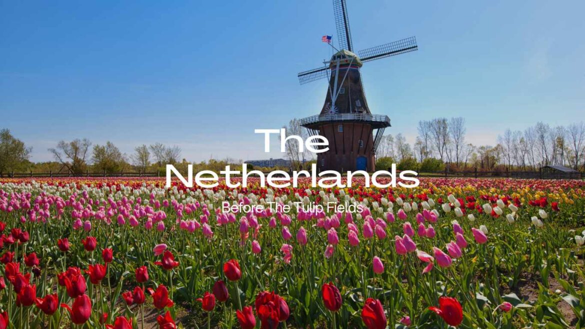Netherlands Biodiversity and the Built Environment
