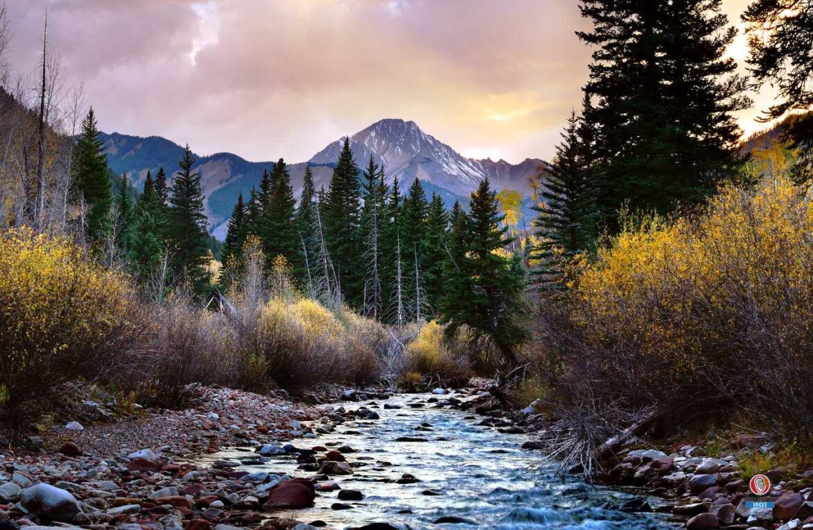 Russia Biodiversity: Animal and Plant Species and What Is Under Threat