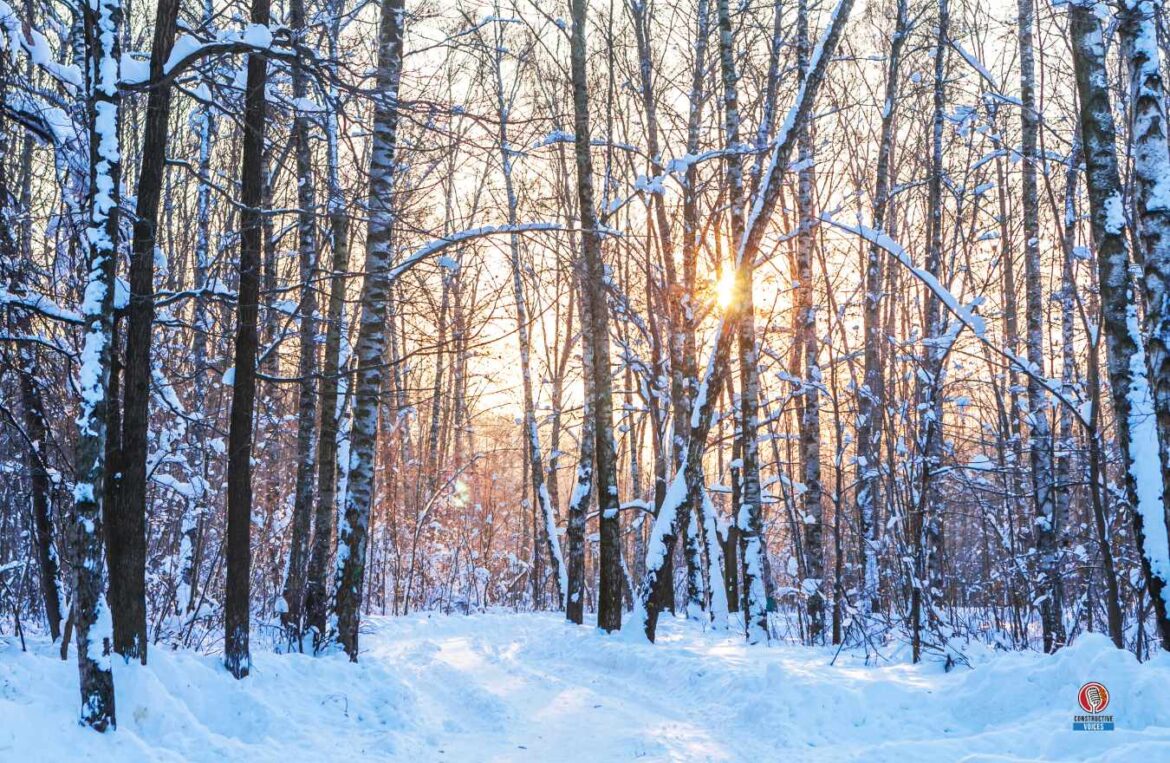 Russia Biodiversity: Animal and Plant Species and What Is Under Threat